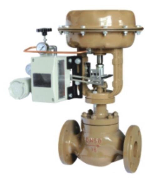 Small diameter single seat control valve - Raymon Valve
