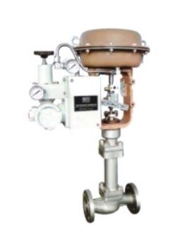 Bellows Control Valve - Raymon Valve