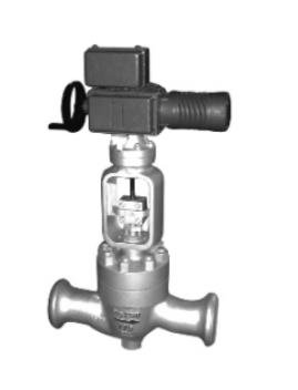 Boiler feed water control valve - Raymon Valve