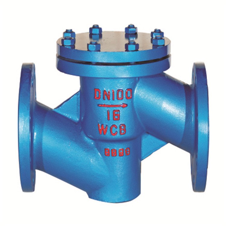 Check Valves Manufacturer - China Check Valve Factory - Raymon Valve