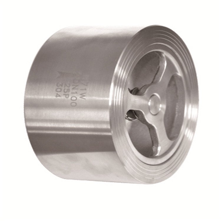 Swing check valve - Raymon Valve