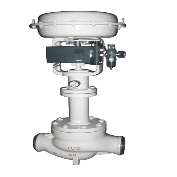 Best Pneumatic sealing single seat bellows control valve